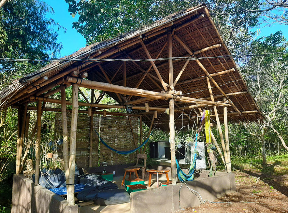 Volunteering in the Philippines With Marine Conservation Philippines ...