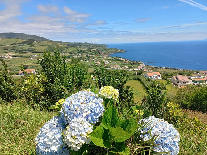 Volunteering With Whales in the Azores - My Review of Biosphere Expeditions