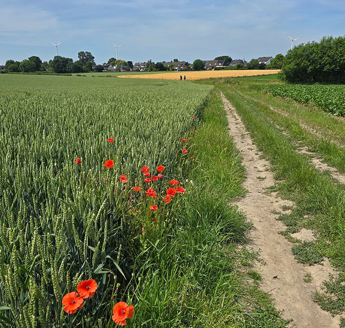 Hiking the Dutch Mountain Trail (Including a 4-Day & 6-Day Itinerary)