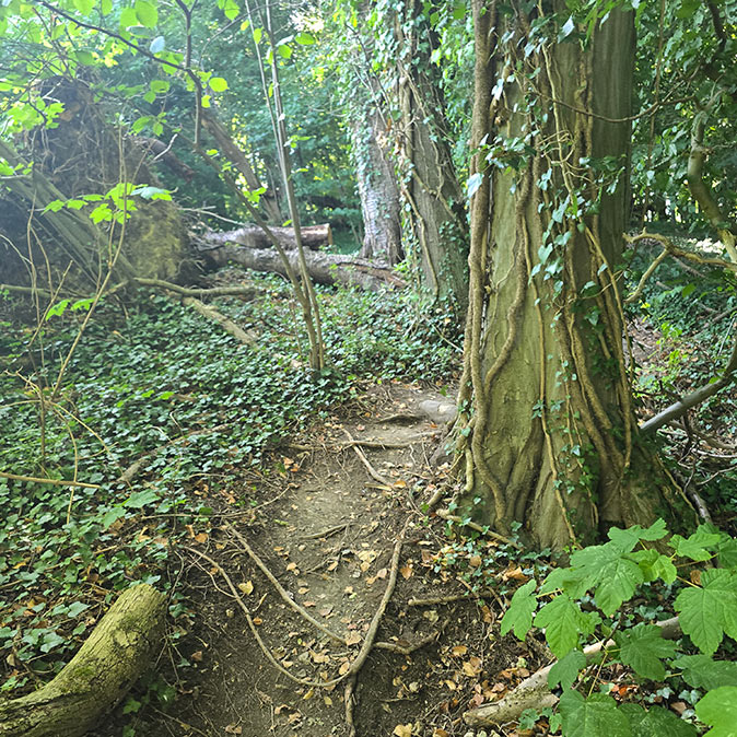 Hiking the Dutch Mountain Trail (Including a 4-Day & 6-Day Itinerary)